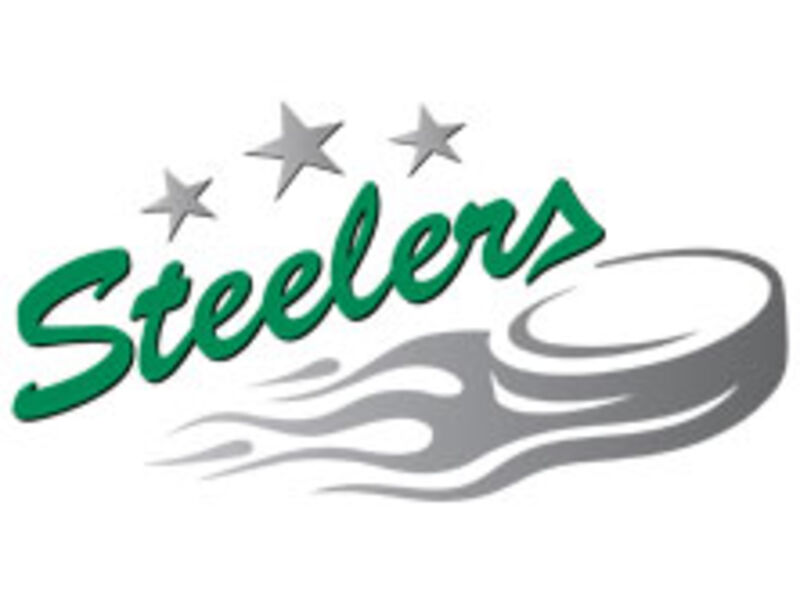 Bietigheim Steelers - EC Bad Nauheim, Bietigheim-Bissingen - Tickets ...