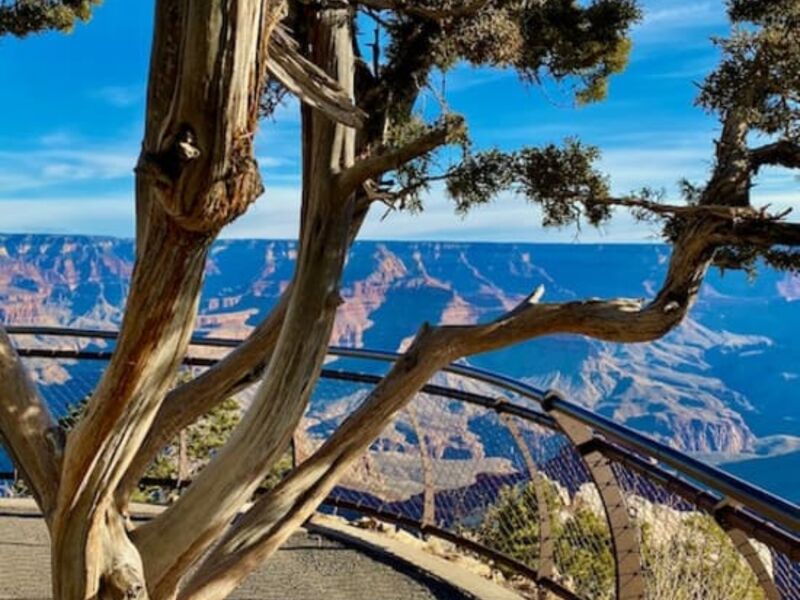 Grand Canyon National Park: Day Trip from Las Vegas with Lunch, Las ...